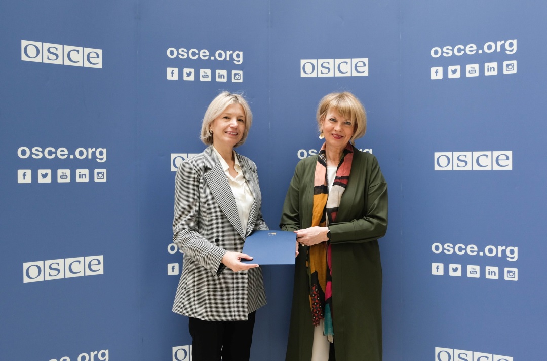 Ambasadorica Danka Savić, stalna predstavnica BiH pri OSCE-u, UN-u i ...